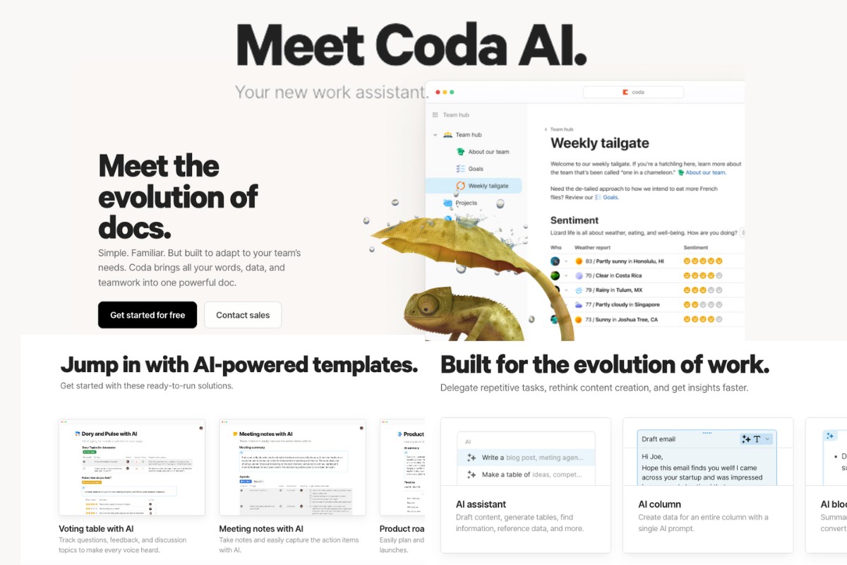 Coda AI - AI Insights