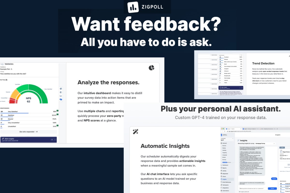 Zigpoll - AI Insights Zigpoll - AI Insights